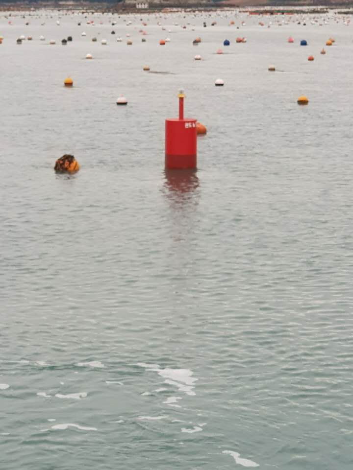 solar marine beacon light